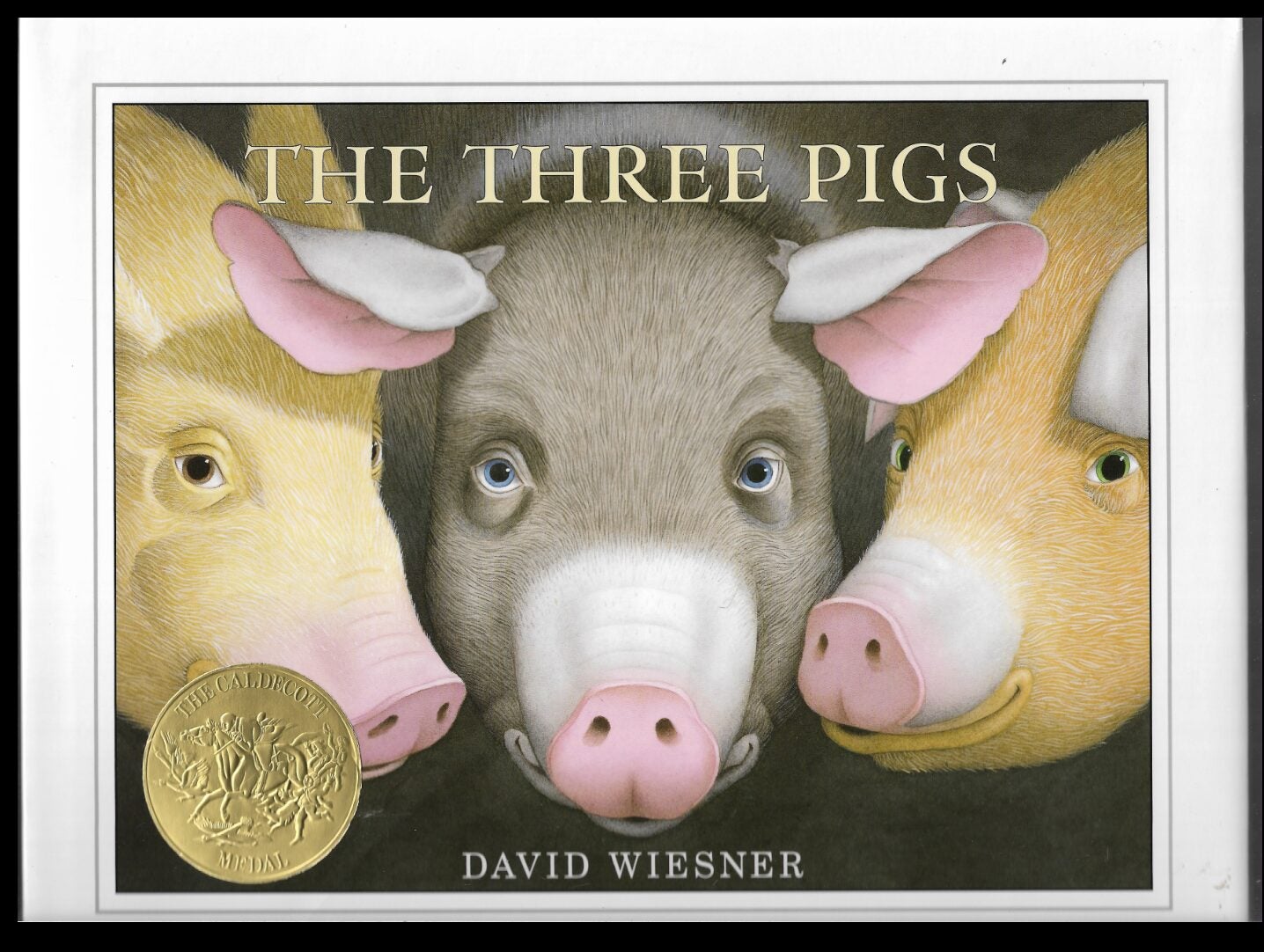 The Three Pigs | David Wiesner